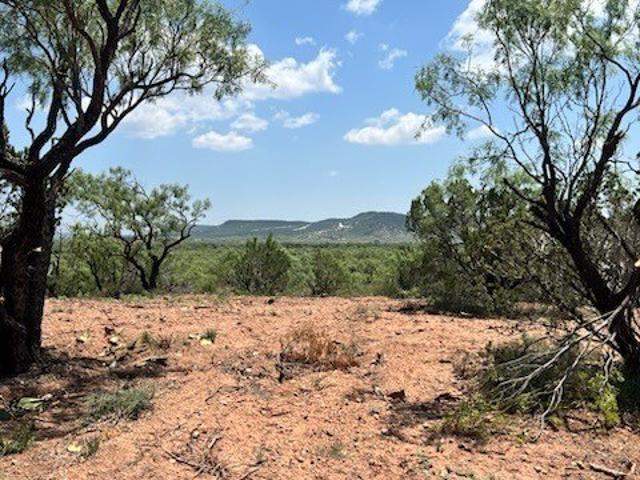 106 County Road 584, Abilene, TX 79606