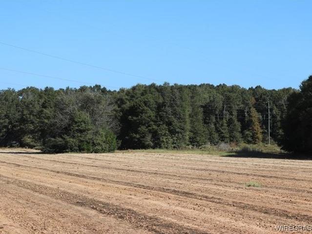 106 Acres County Road 705, Enterprise, AL 36330