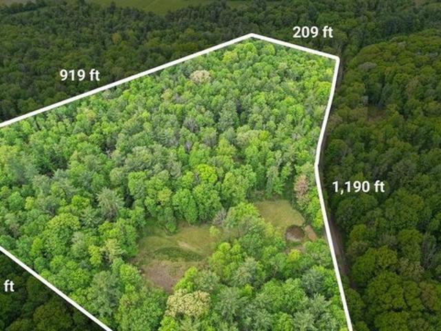 106 Harpur Hill Rd, Nineveh, NY 13813