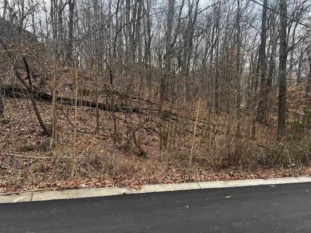 106 High Ridge Trl