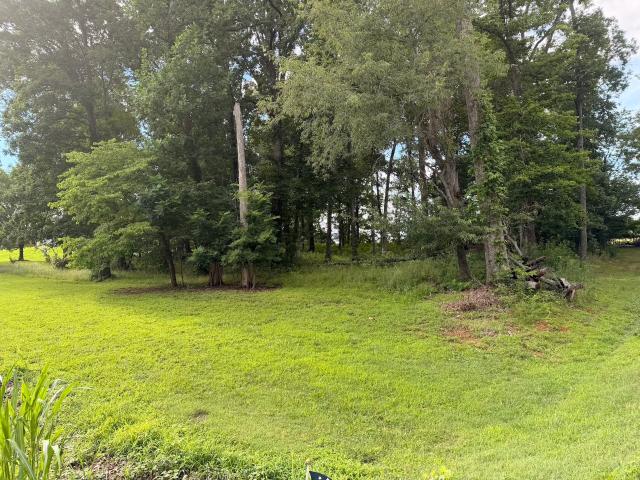 106 Hillside Dr