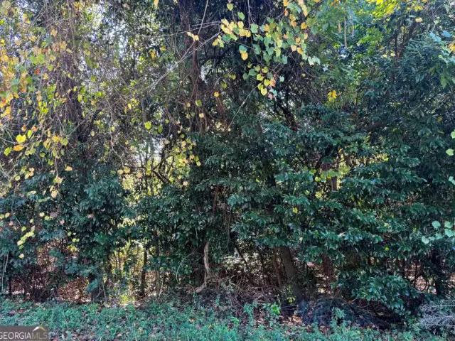 106 Ida Ave, Warner Robins, GA 31088 MLS 10411963