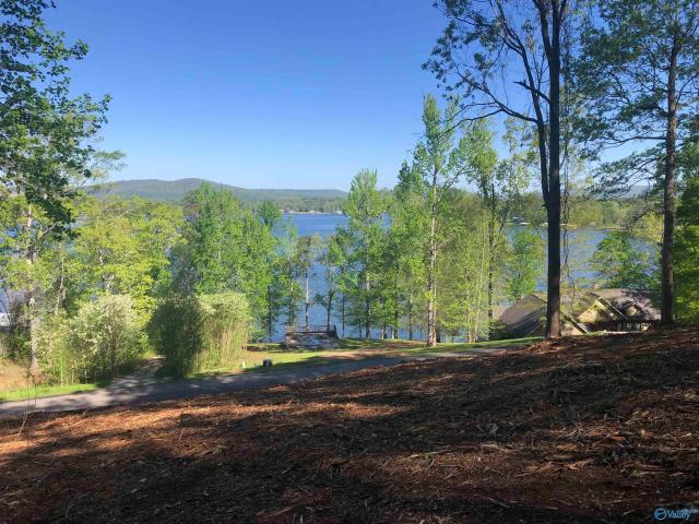 106 Monte Sano Drive
