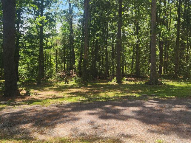 106 miss phillips rd