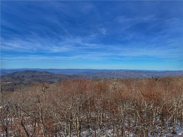106 Spruce Hollow Road