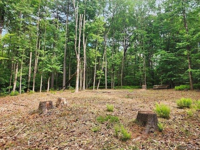 106 Starlight Dr, Monticello, NY 12701