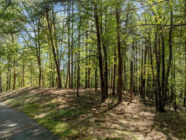 106 Sweetshrub Ct, Sunset, SC 29685 | MLS #20293