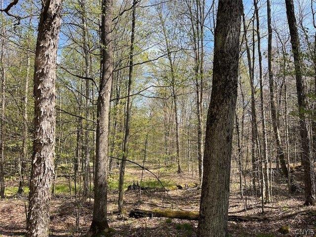 106 Rd, Alma, NY 14708