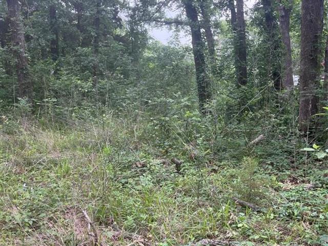 106 Red Bluff Loop