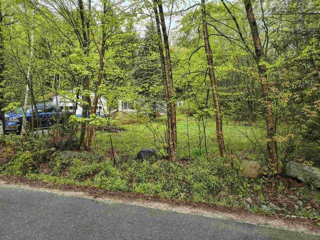 106 Waldron Hill Rd, Warner, NH 03278