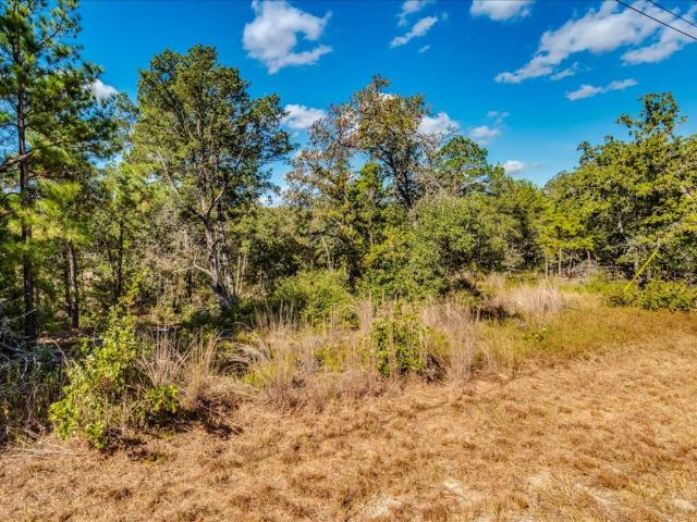 106 Wampum, Smithville, TX 78957 | MLS #1974 | Compass