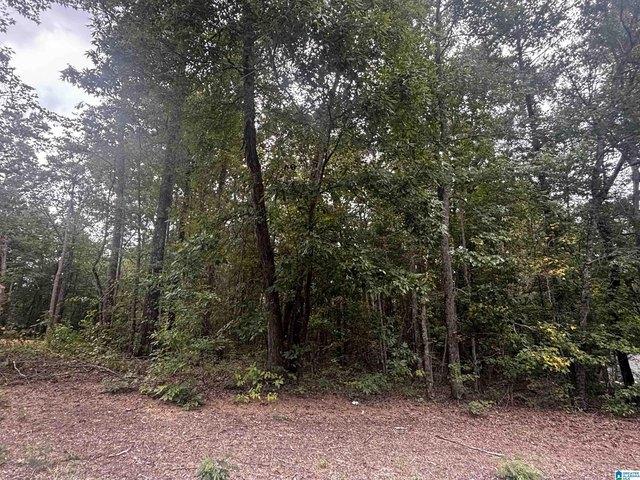 106 Wilson Glen Dr Lot 43, Wilsonville, AL 35186