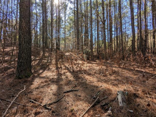 106 Winding Trail