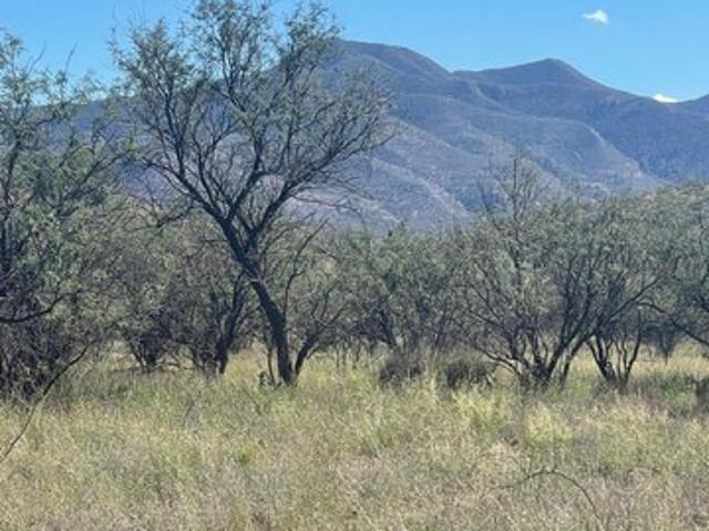 106 Tanglehead Ln Unit 6, Patagonia, AZ 85624
