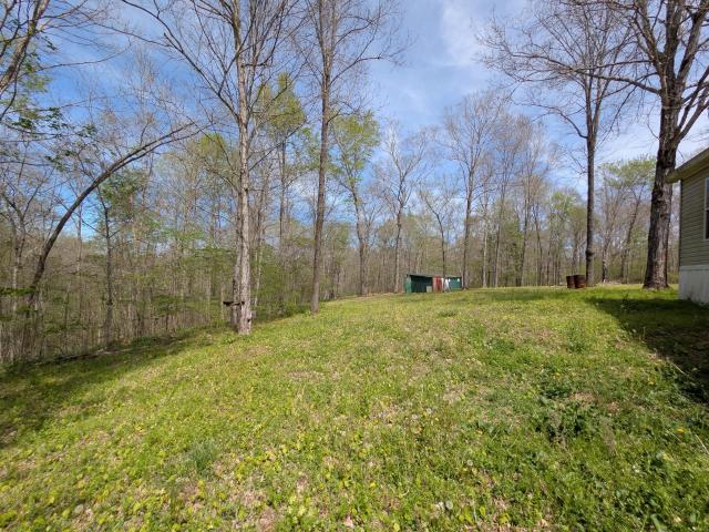 10740 Bear Creek Rd