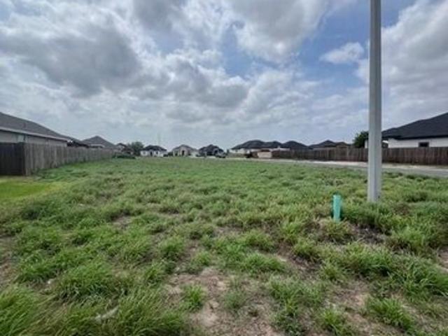 10741 N Sugar Bear Dr, Edinburg, TX 78541