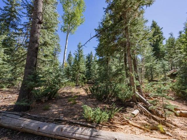 1075 E Winchester Rd, Duck Creek Village, UT 84762