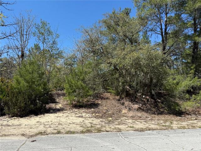 10762 N Moreno Dr, Dunnellon, FL 34433 | MLS #OM721199 | Compass
