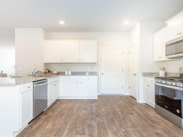 1076 Mulligan Drive