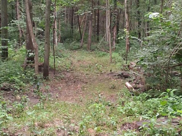 1076 N Country Club Road