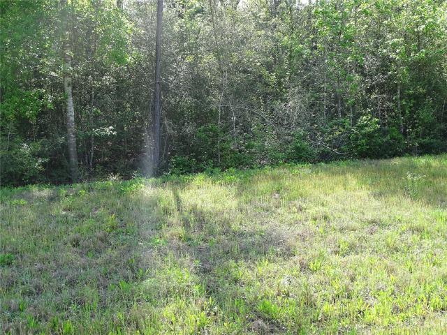 10774 Ruger Rd, Willis, TX 77378 | MLS #15728