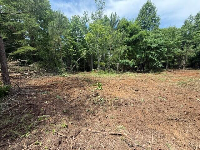 10775 S Pittsburg Mountain Road
