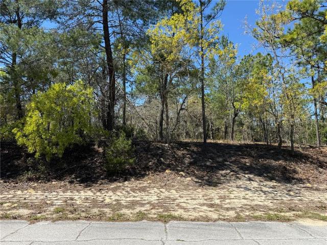 10776 N Moreno Dr, Dunnellon, FL 34433 | MLS #OM721205 | Compass