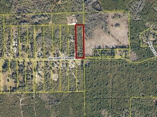 1077 NW Hamp Farmer Rd, Lake City, FL 32055