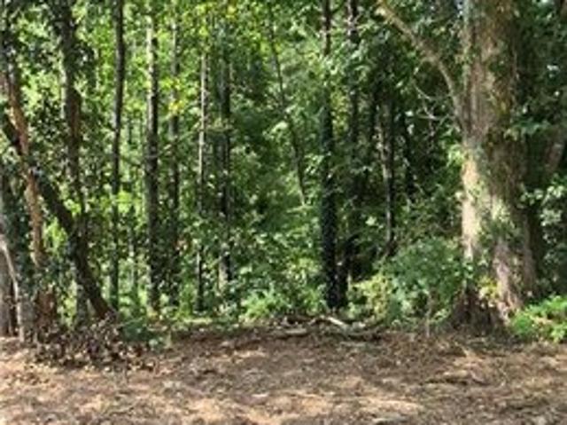 1077 Crooked Creek Rd, Lithonia, GA 30058