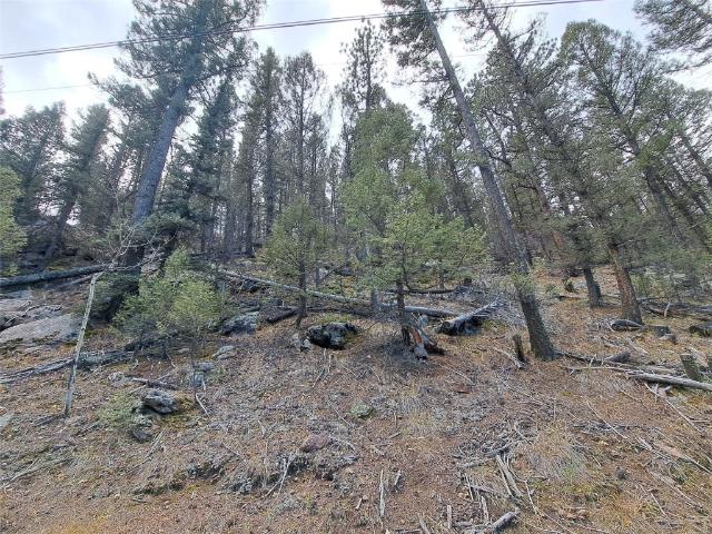 1077 Roland Dr, Bailey, CO 80421 | MLS #S1064