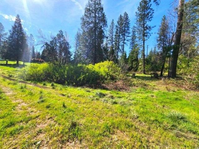 1077 Winton Road, West Point, CA 95255 635398894