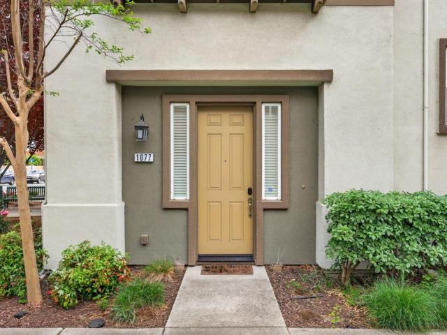 1077 Zucchini Terrace