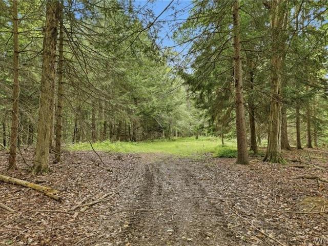 10788 Partridge Rd, Holland, NY 14080