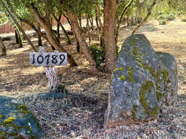 10789 Harbor Rd, Kelseyville, CA 95451 | MLS #LC25080 | Compass