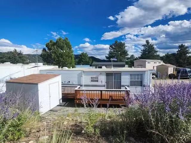 10795 Co Rd 197A #290, Nathrop, CO 81236 MLS 2730280