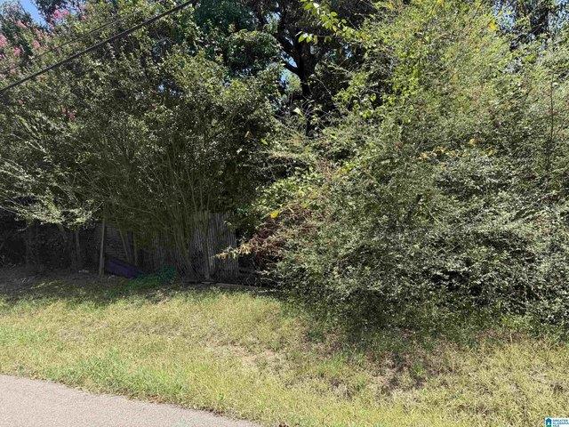 1079 Talley Ave Lot 0, Birmingham, AL 35217
