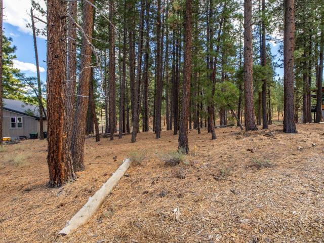 10703 Winchester Ct, Truckee, CA 96161 | MLS #20252
