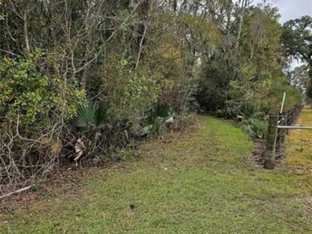 1070 County Road 136 / Live Oak, Van Vleck, TX 77482