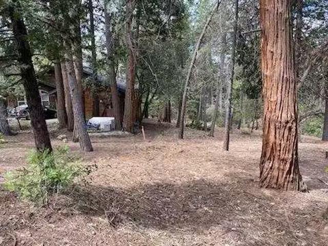 1070 Dogwood Drive, Murphys, CA 95247 648675628