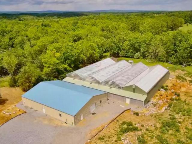 1070 Wadesville Road