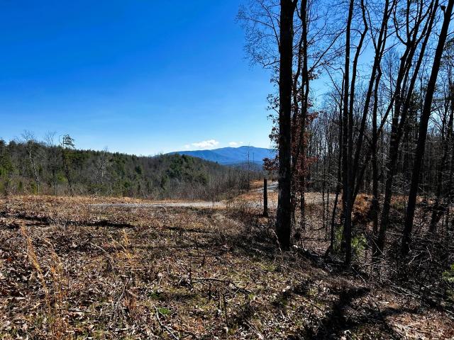 107/125 Chestnut Mountain Road