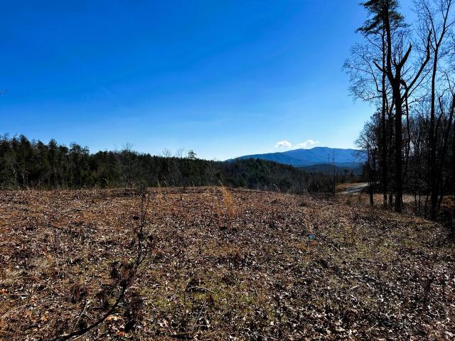 107/125 Chestnut Mountain Road
