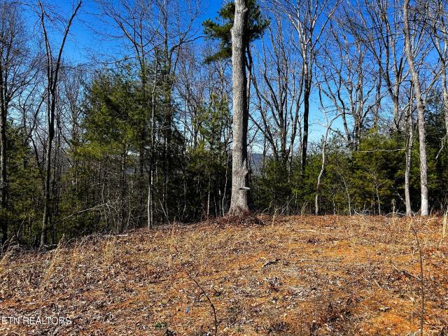 107/125 Chestnut Mountain Rd