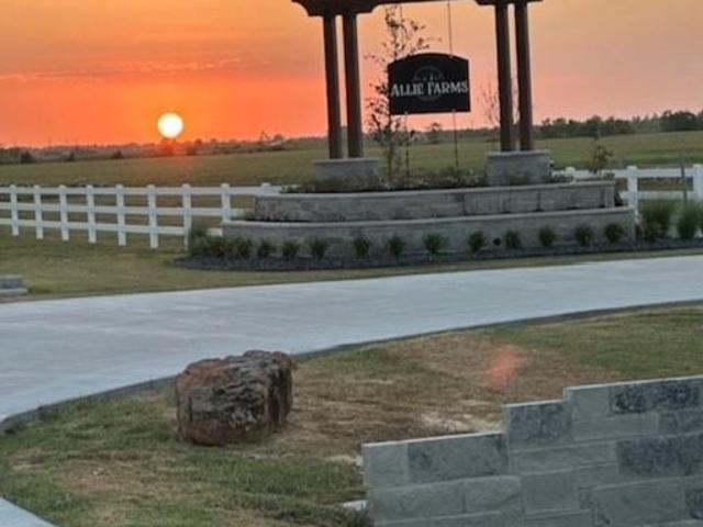 1071 Allie Ln, Dayton, TX 77535 | MLS #43454