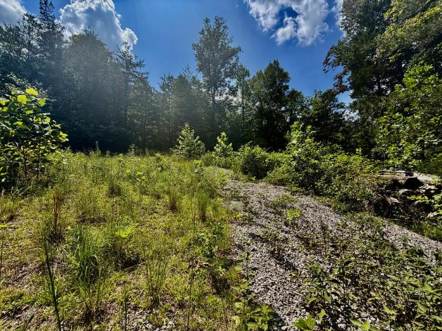 1071 Big Hollow rd