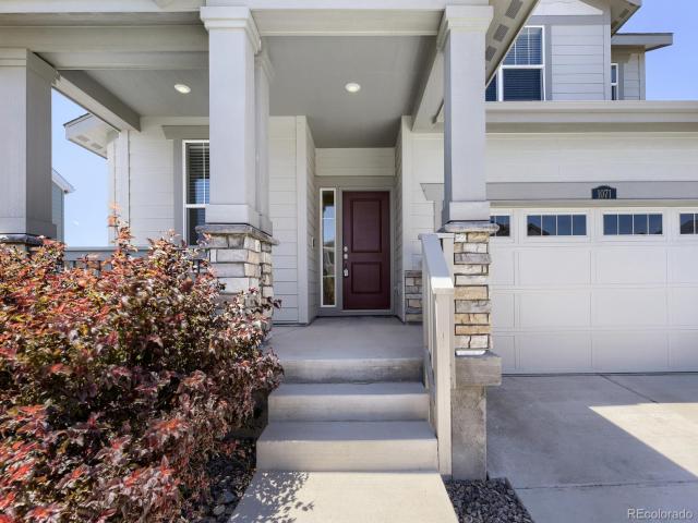 1071 Black Saddle Street