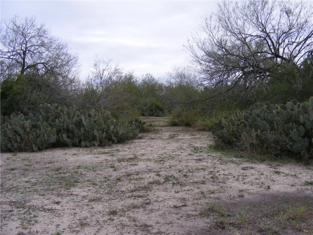 10722 County Road 249