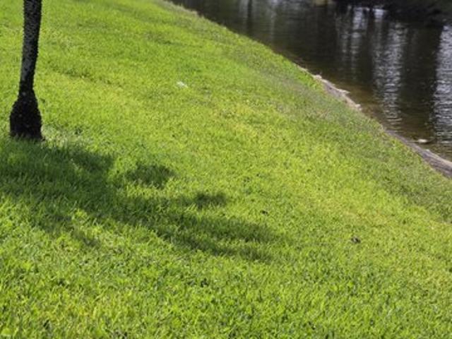 10727 Ladypalm Ln Unit B, Boca Raton, FL 33498