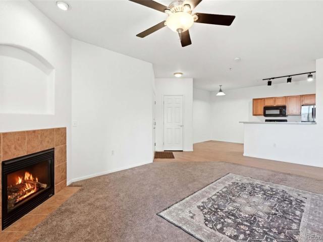 10733 S Twenty Mile Road # 203