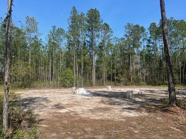 10730 Allison Ave, Hastings, FL 32145 | MLS #250296 | Compass